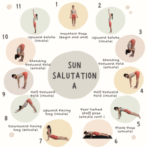 Sun Salutation Sequences: The Complete Guide To Unlock Vitality and ...